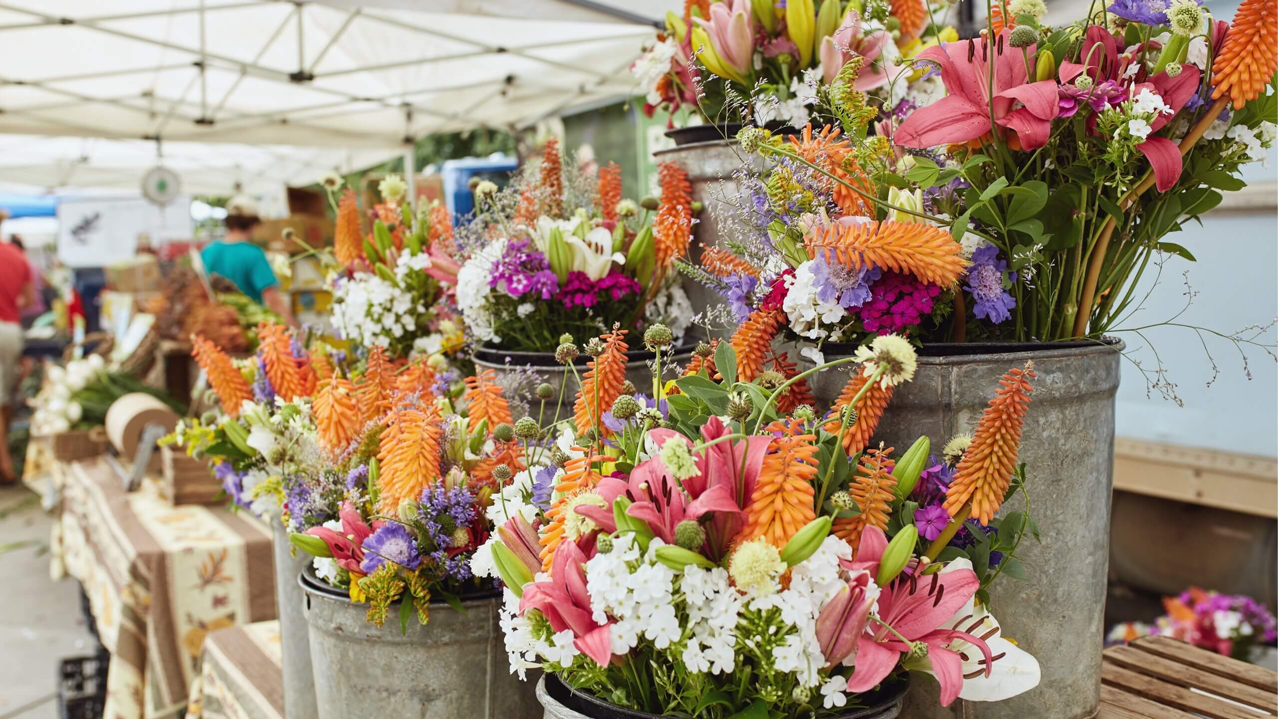 Colorado Calling: 19 Essential Spring And Summer Activities In Denver